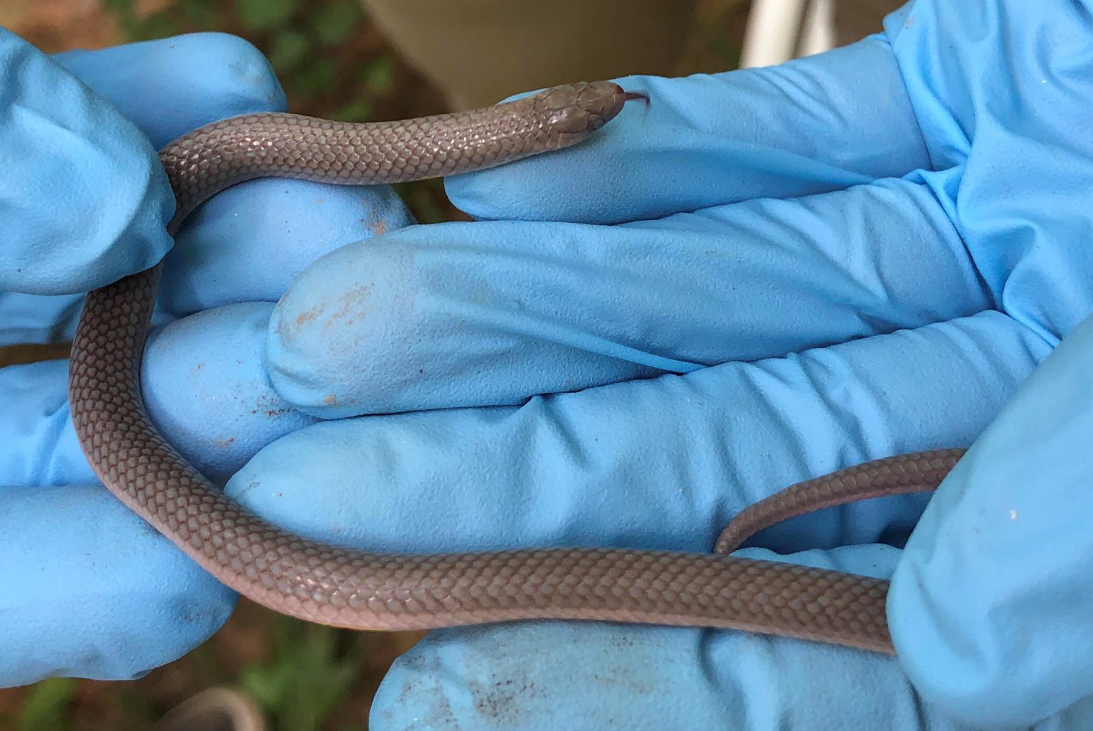 Biology Department | individually tailored preparation for graduate and ...