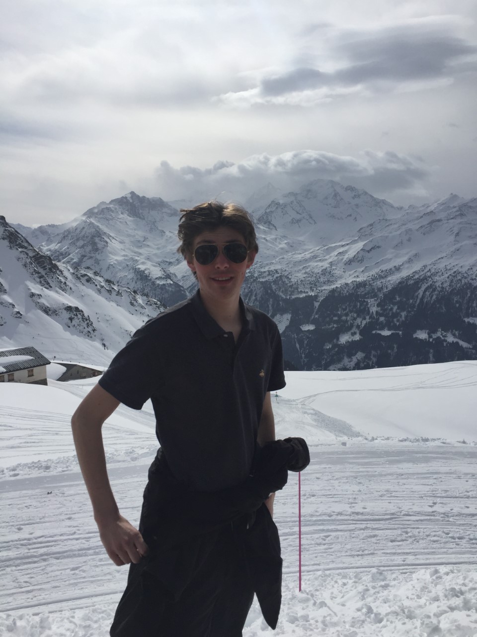Thomas Salamon: Post 4 – Global Tigers