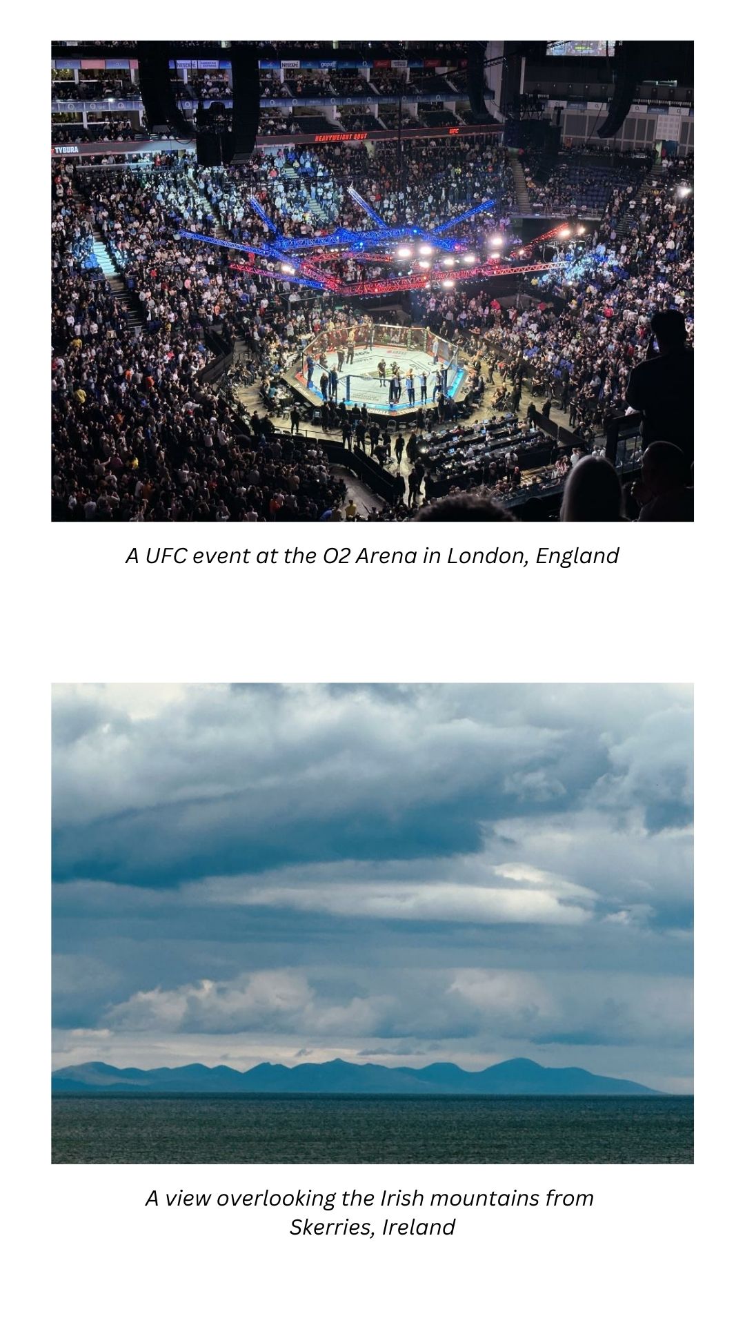 Thomas Overton: Post 3 – Global Tigers